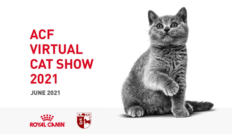 Australian Cat Federation | ACF Inc.